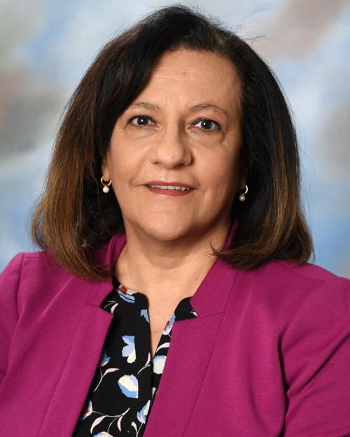 Dr. Hana Badreddine, MD is a Rheumatologist in Dayton, OH | Sharecare